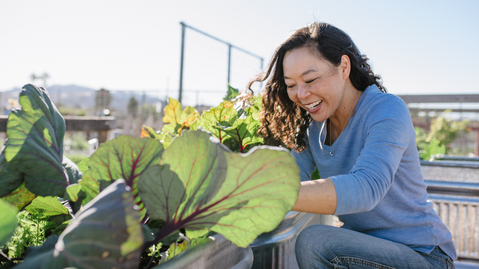 Small Bites: How Naomi Hansen (B’95) is Battling Food Insecurity ...