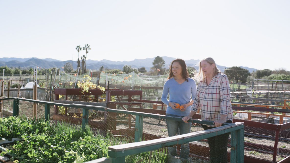 Small Bites: How Naomi Hansen (B’95) is Battling Food Insecurity ...