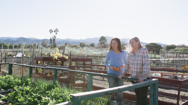 Small Bites: How Naomi Hansen (B’95) is Battling Food Insecurity ...