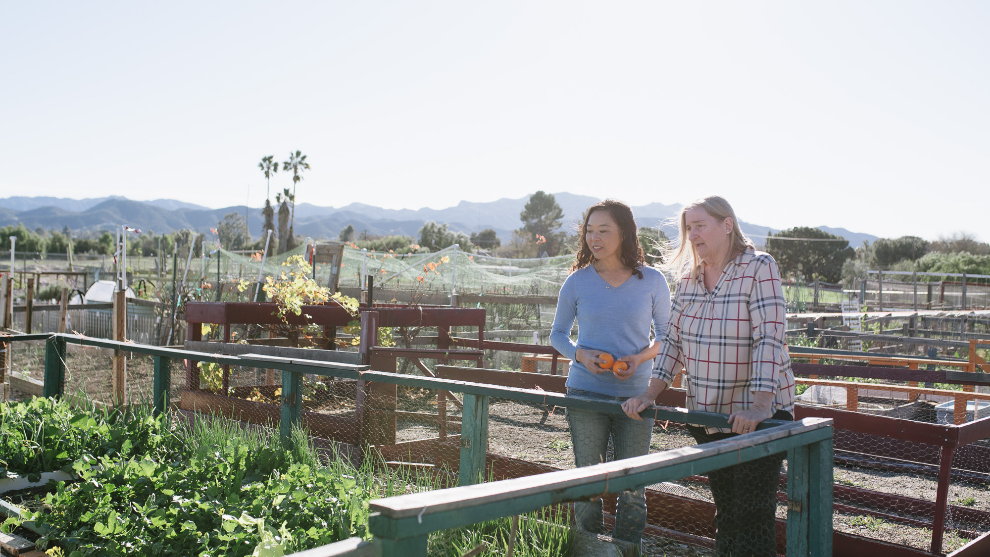 Small Bites: How Naomi Hansen (B’95) is Battling Food Insecurity ...